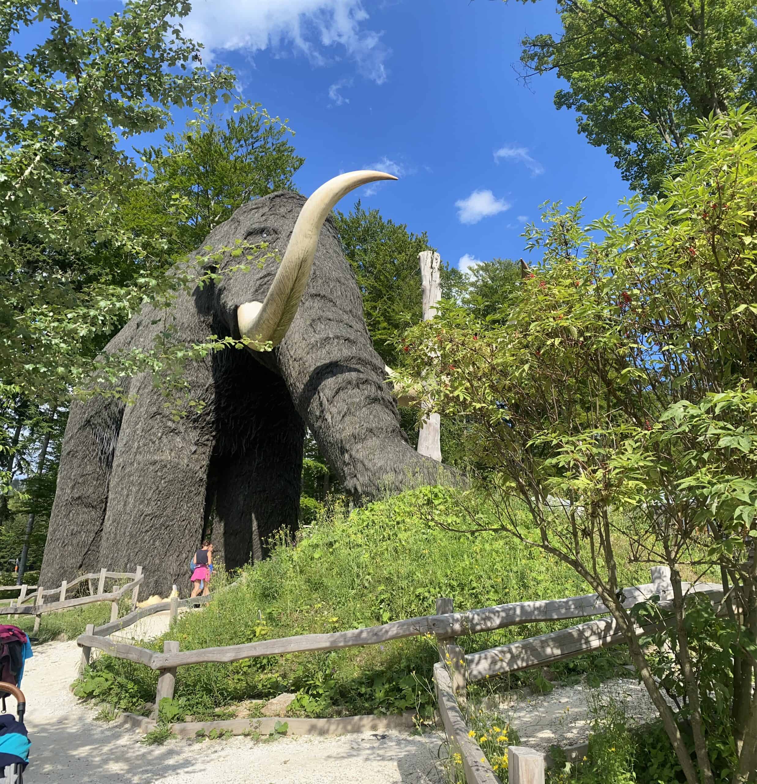 Mamutíkovy zážitkové parky - Mamikam.cz